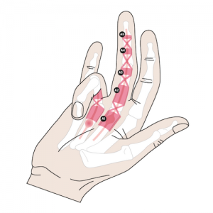 Doigt à ressaut - Dr El-Sair